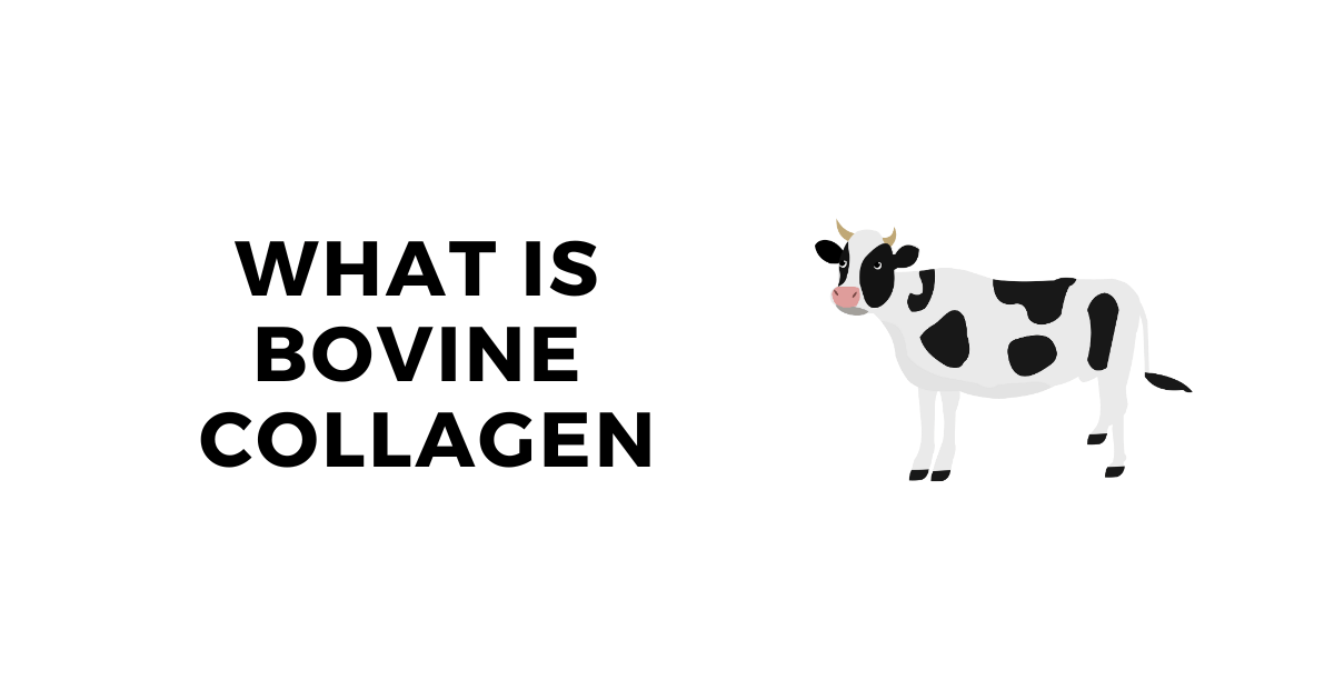What is Bovine Collagen? Benefits, Types, Forms and Sources