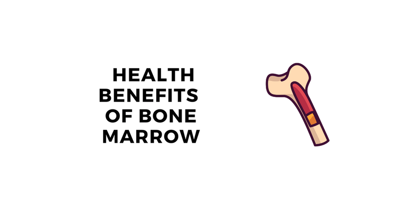 8 Powerful Bone Marrow Benefits and How You Can Harness Them